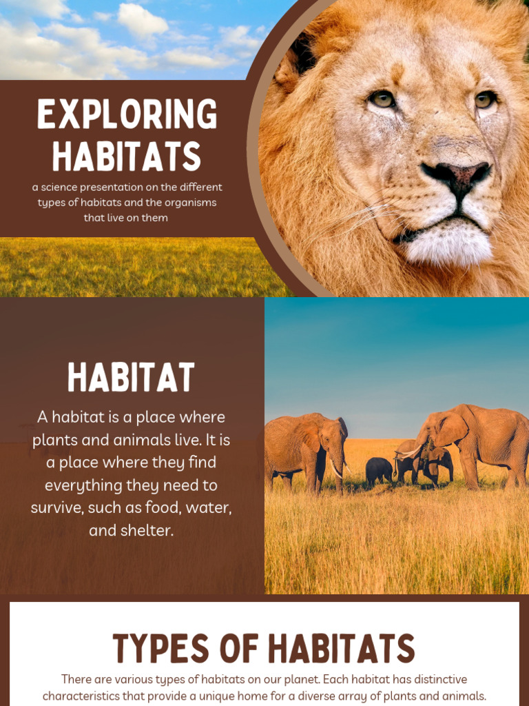 Types of Habitats and Their Organisms | PDF | Habitat | Wetland