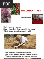 I Am a Tree by Nancy Kopman | PDF