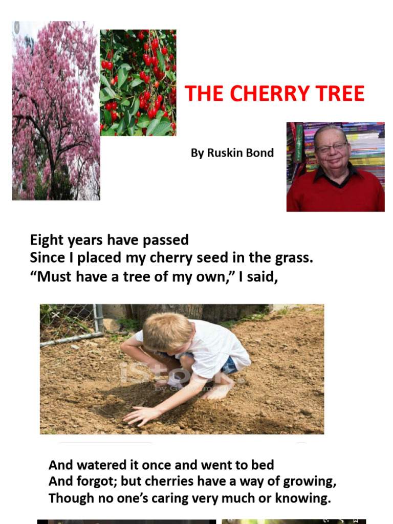 The Cherry Tree by Ruskin Bond | PDF