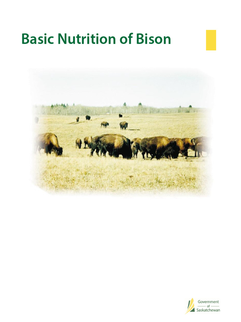 Bison Nutrition: Feeding and Physiology | PDF | Vitamin | Nutrients