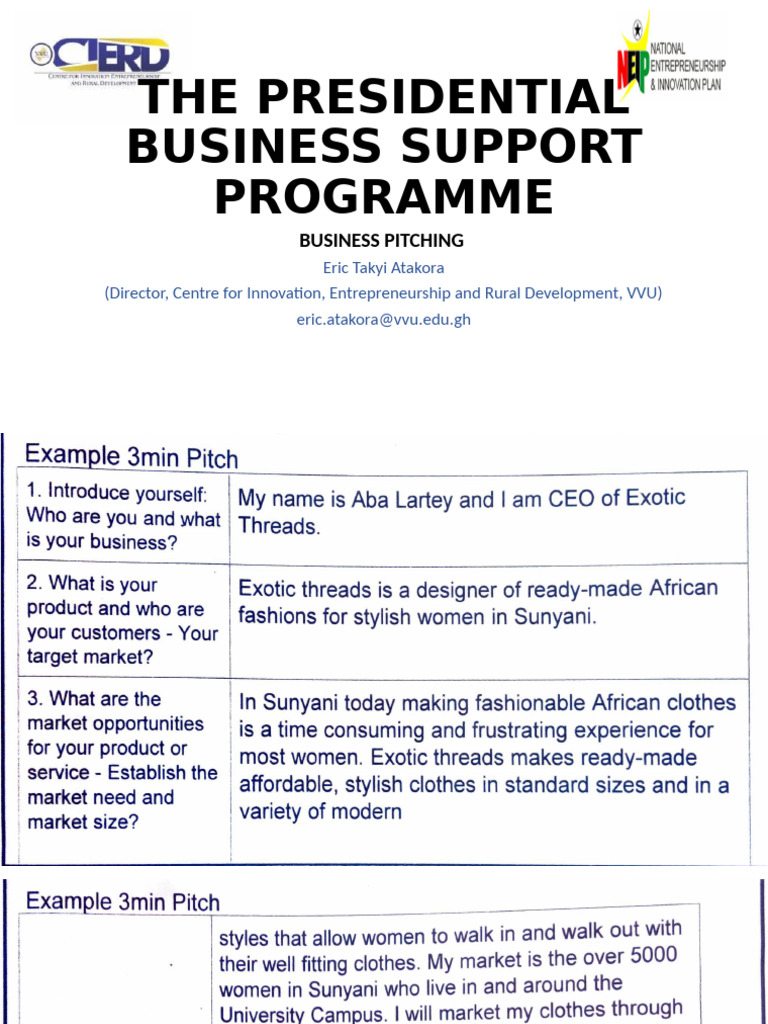 Business Pitching | PDF