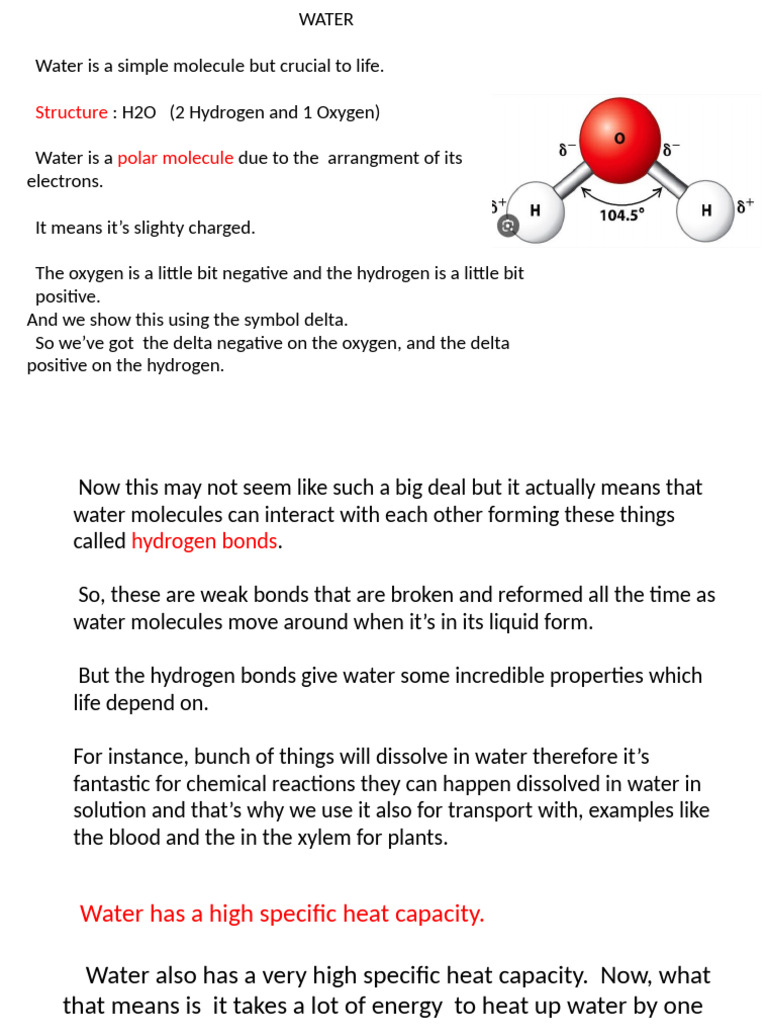 1.1 Structure of Water and Hydrogen Bonding | PDF | Water | Chemical ...