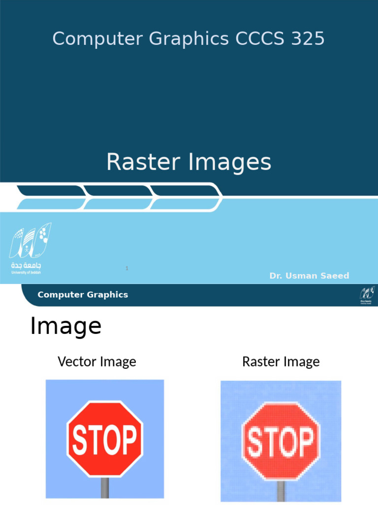 CCCS325 03 Raster Images | PDF | Computer Data | Computing