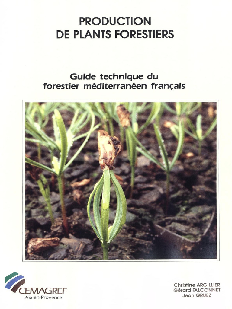 Production de Plants Forestiers | PDF | Forêt | Agriculture
