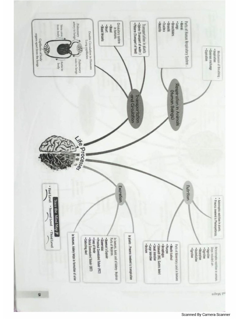 Class 10 Mind Maps-1 | PDF