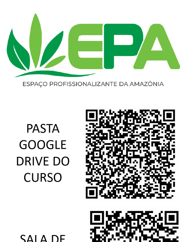 AULA 5 2025 EPA - O Uso de Modelos | PDF | Estado | Brasil