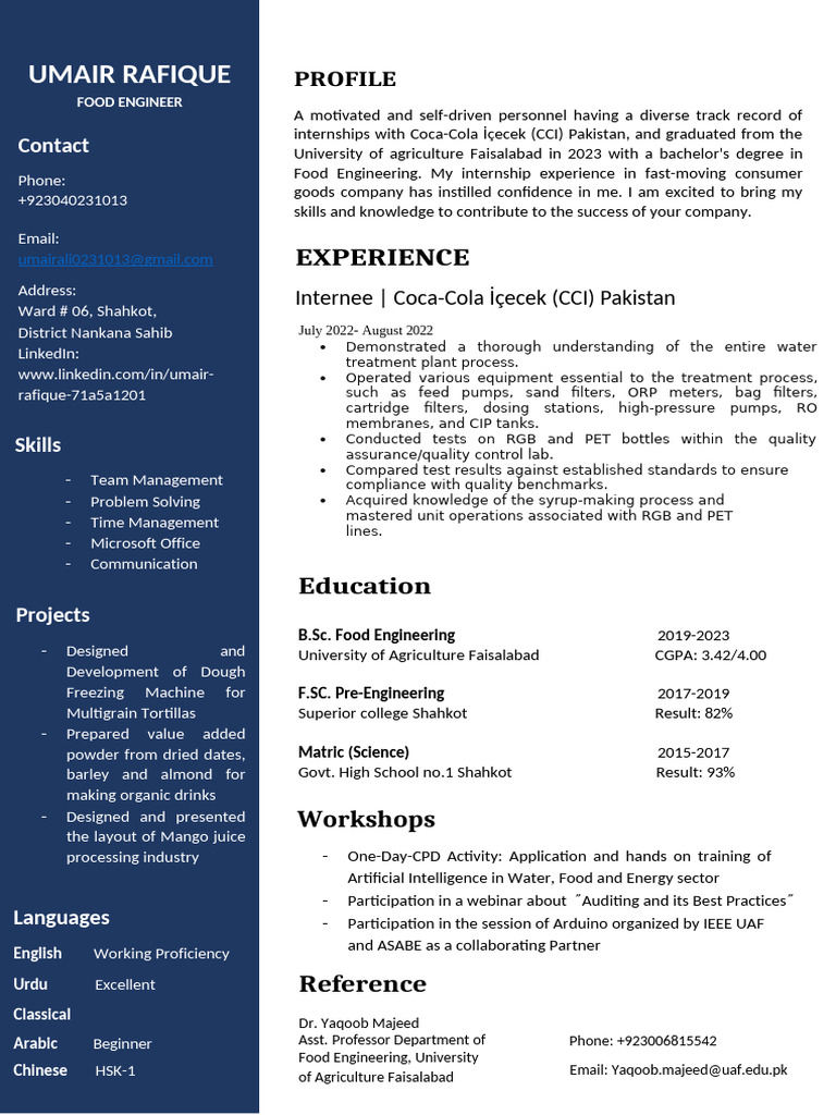 Umair Rafique Resume (2) (1) (1) | PDF