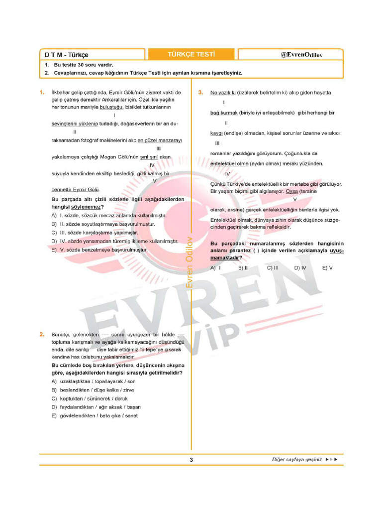 DTM - Türkçe - Evren Odilov | PDF