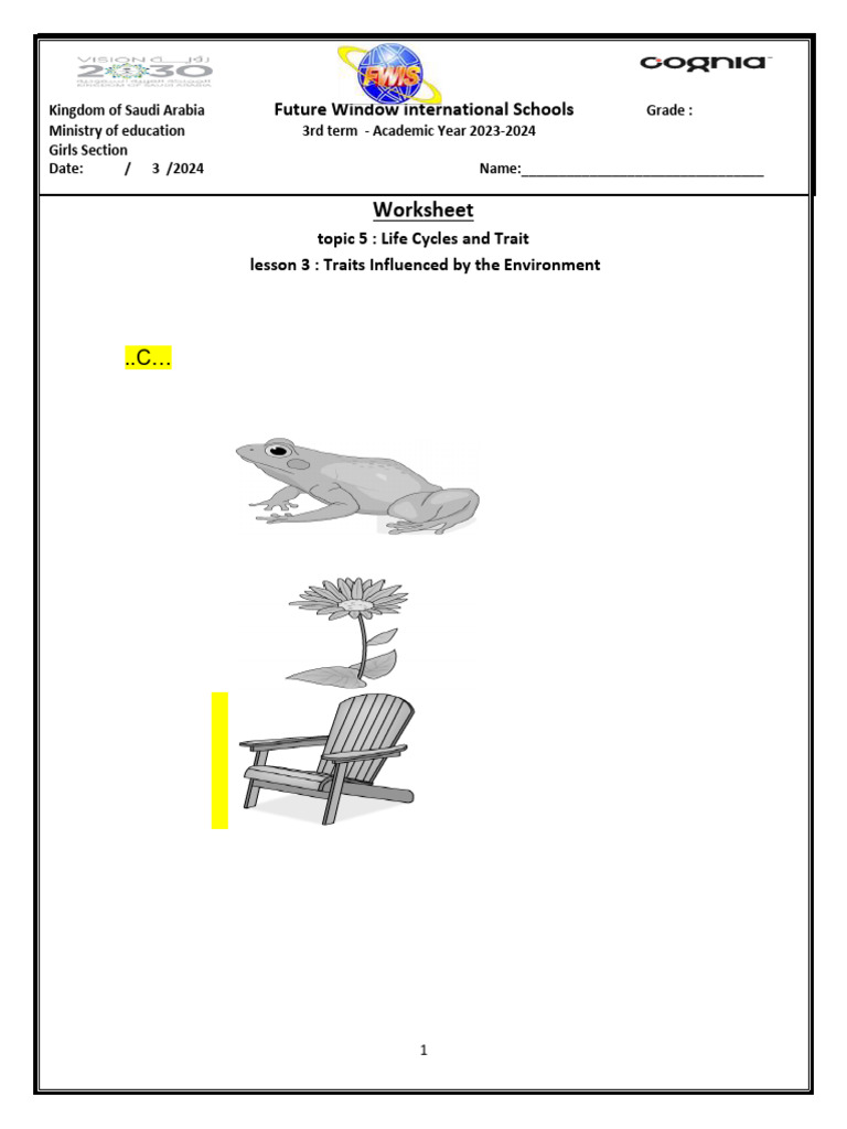 (Answers) Worksheet For Topic 5 Lesson 3 | PDF | Nest | Plants