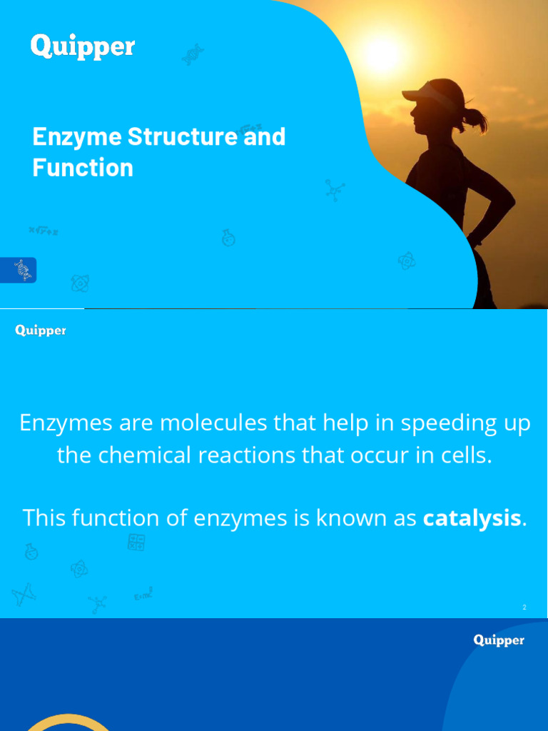 1 Enzyme Structure and Function | PDF | Enzyme | Active Site