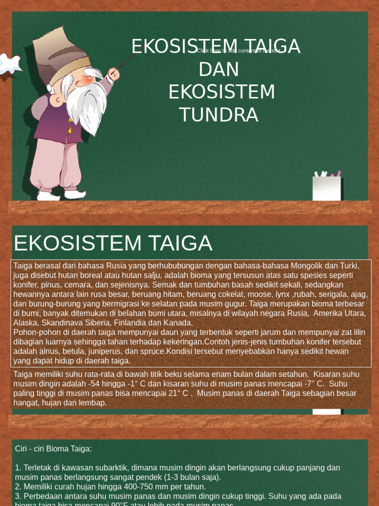 Ekosistem Taiga dan Tundra: Ciri dan Manfaat | PDF