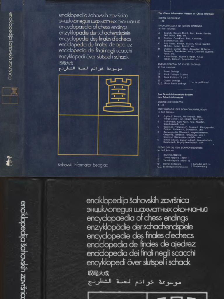 Chess Informant - Encyclopedia of Chess Endings - Rooks 2 | PDF