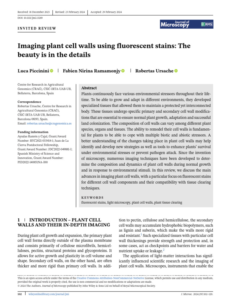 Imaging Plant Cell Walls Using Fluorescent Stains | PDF | Microscopy ...