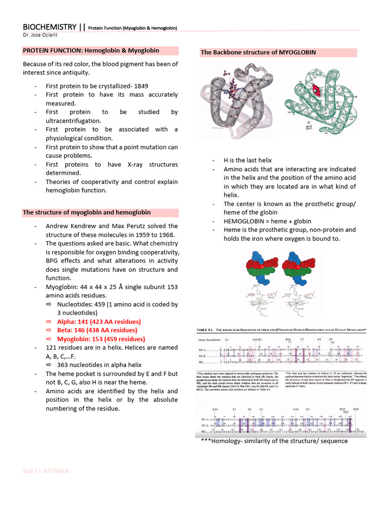 Protein Function Part 1 | PDF | Hemoglobin | Alpha Helix