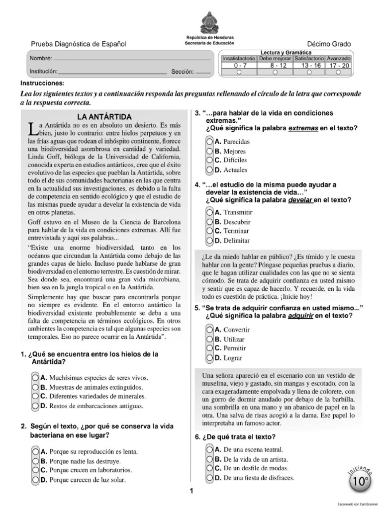 Prueba Diagnóstica de Español 10° Grado | PDF