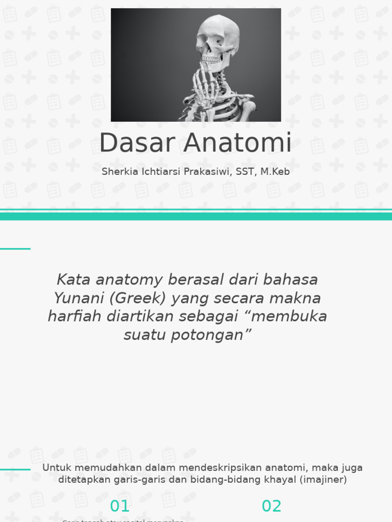 Dasar Anatomi Sherkia | PDF