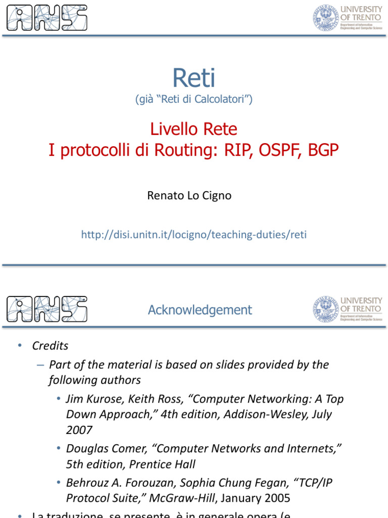 Livello Rete I Protocolli Di Routing: RIP, OSPF, BGP | PDF | Routing | Computer Engineering
