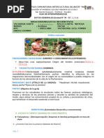 Manual de Redalyc | PDF | Red mundial | Internet y web