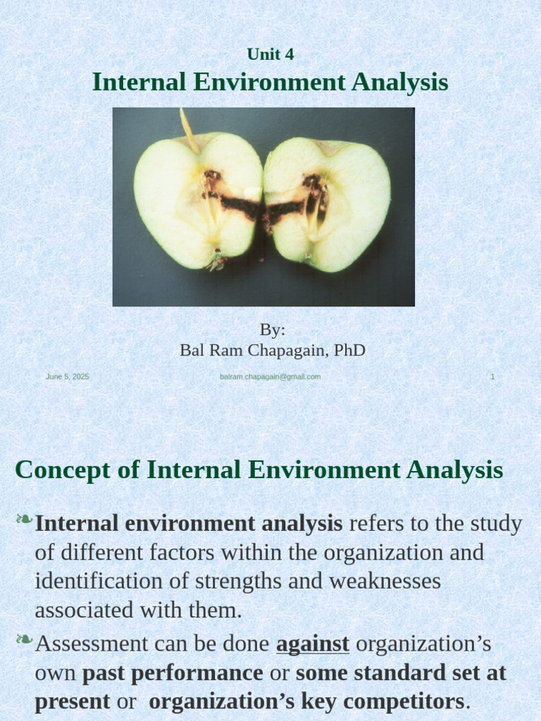 4 - Internal Environment Analysis - Final-1 | PDF | Competitive ...