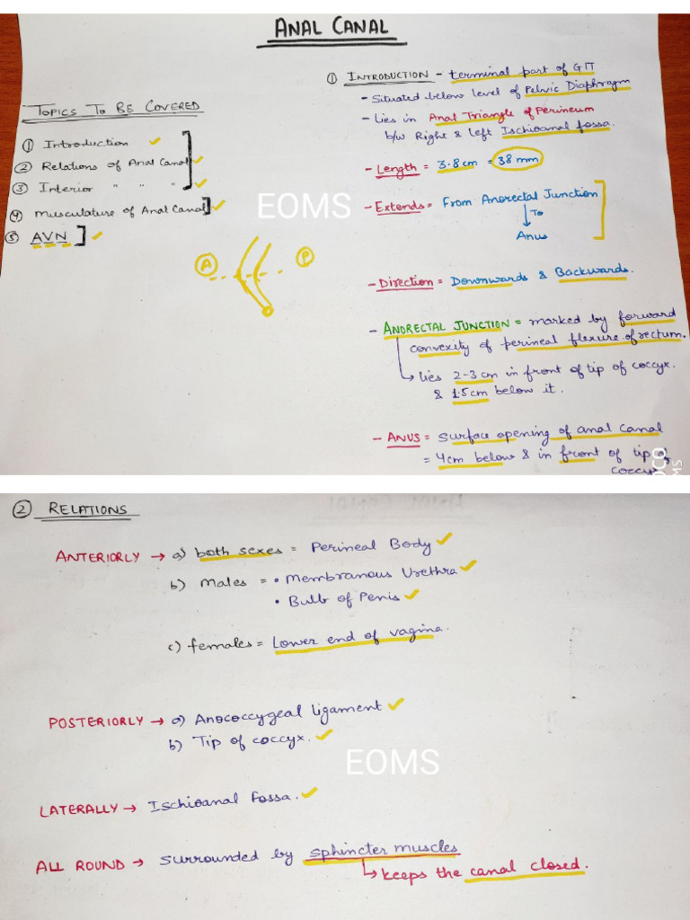 Anatomy of Anal Canal | PDF