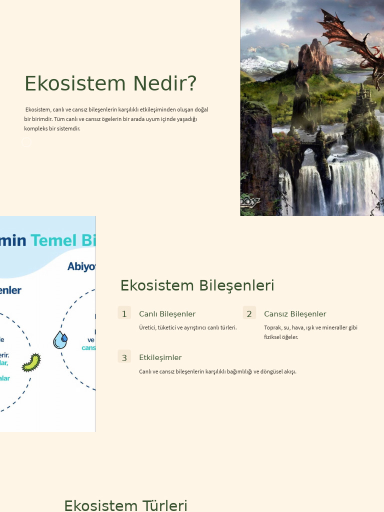 Ekosistem Nedir | PDF