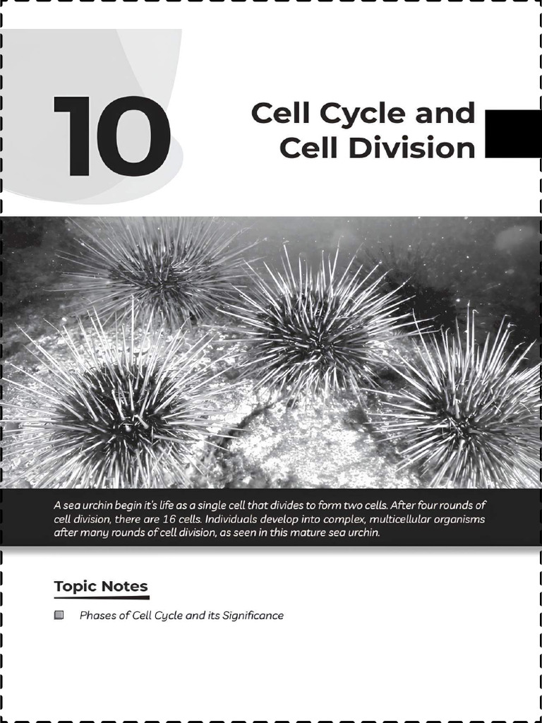 Selfstudys Com File | PDF