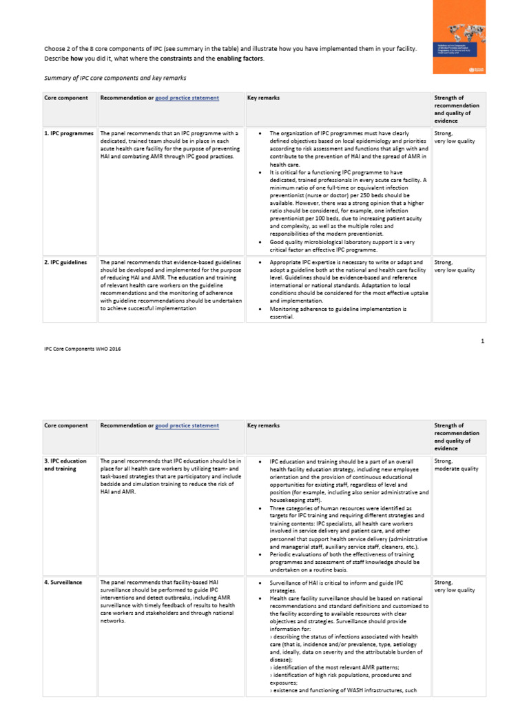Summary Core Components IPC For Facilities | PDF | Wash | Hygiene