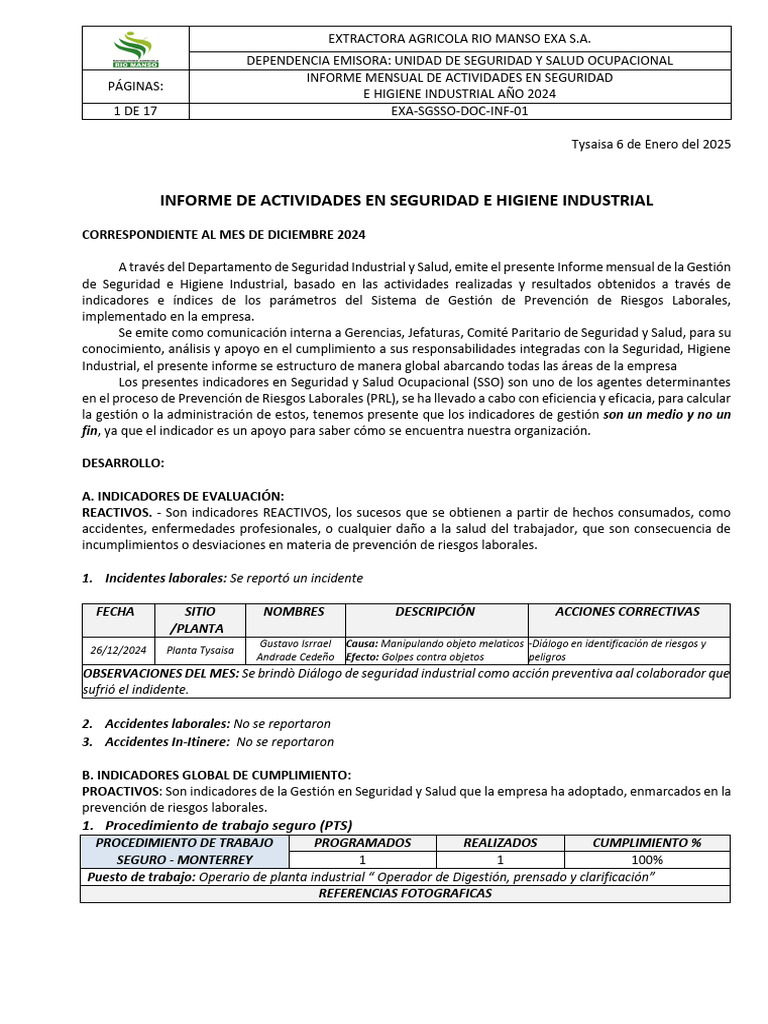Informe de Seg Ind Zona Norte Diciembre 2024 | PDF | Higiene Ocupacional | Seguridad y salud ...