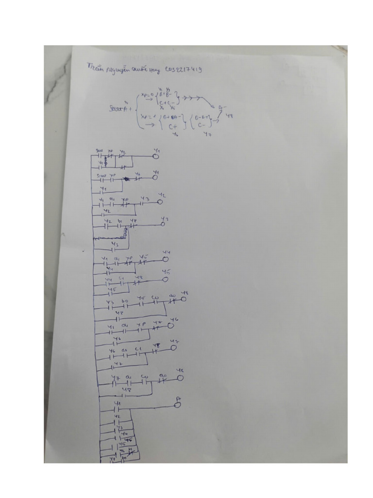 Tran Nguyen Quo Chuy | PDF