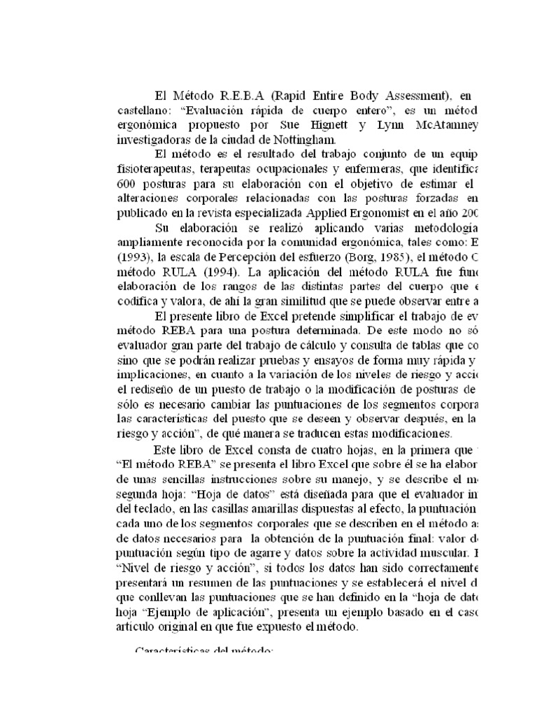 67107-Excel Método Reba | PDF