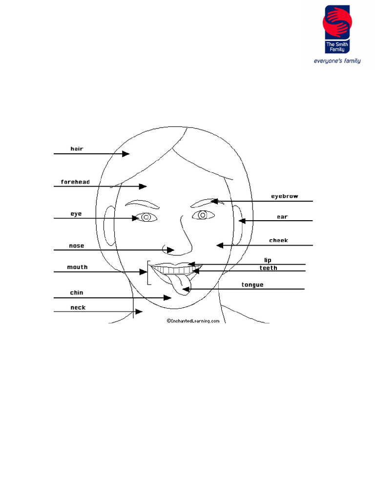 Lesson Plan: Describing Physical Appearance | PDF | Hair | Blond