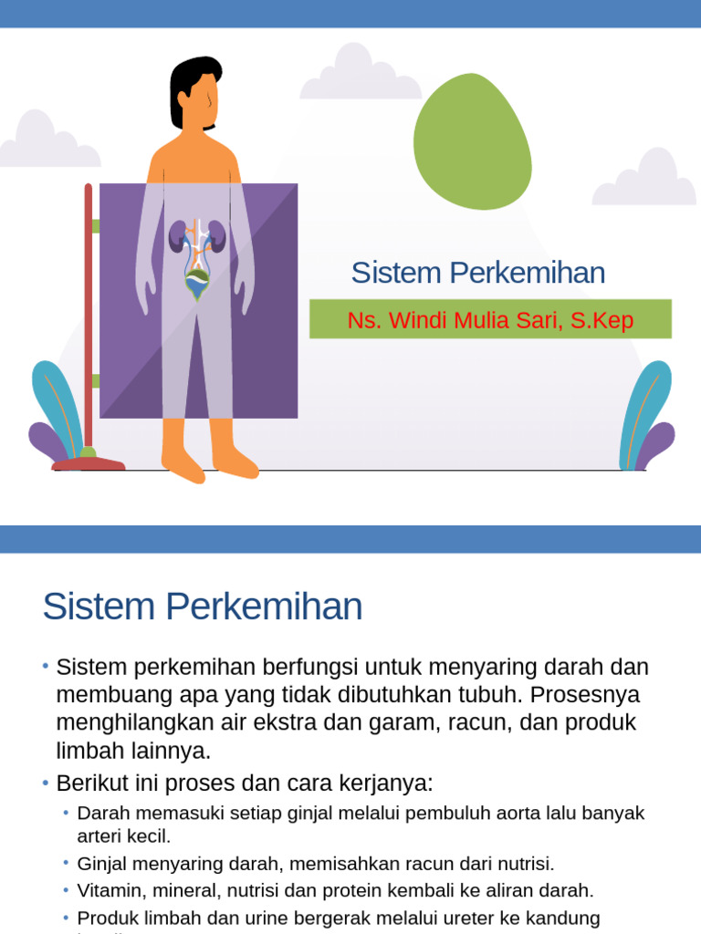 Sistem Perkemihan | PDF