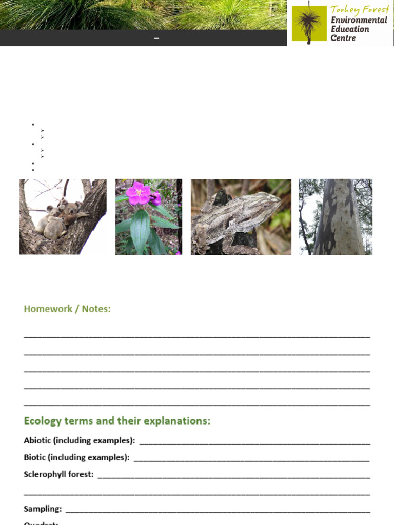 Fieldwork Guide: Ecology & Sampling Techniques | PDF | Sampling ...