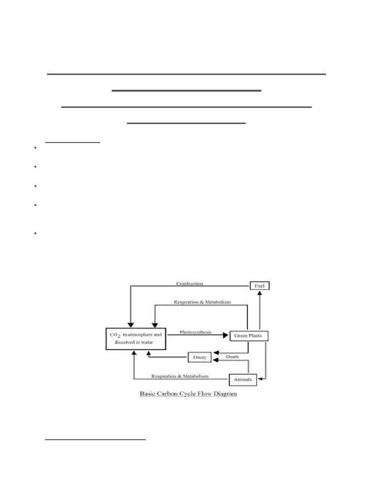 Carbon, Nitrogen, Phosphorus, and Sulpur Cycles | PDF | Nitrogen | Soil