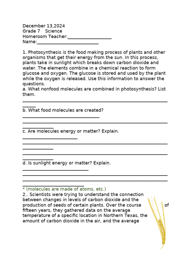 Jamari Morris - Grade 7 Photo Synthesis Work Sheet Dec 13-2024 | PDF ...