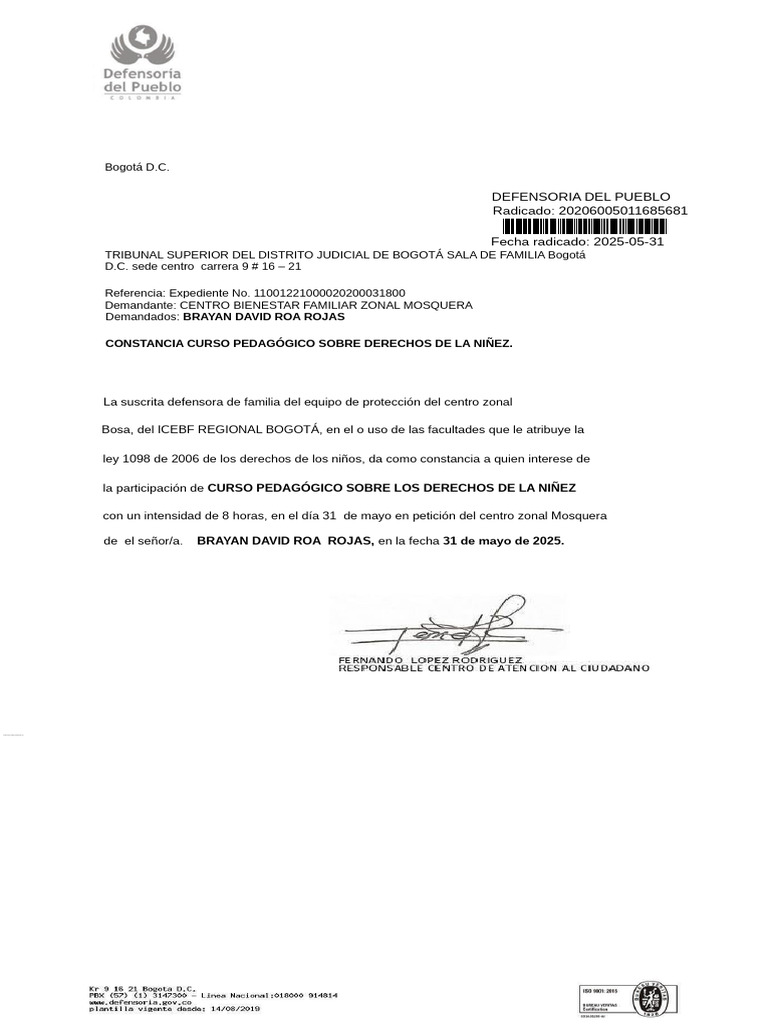 Curso Pedagógico Sobre La Niñez BRAYAN DAVID ROA ROJAS | PDF