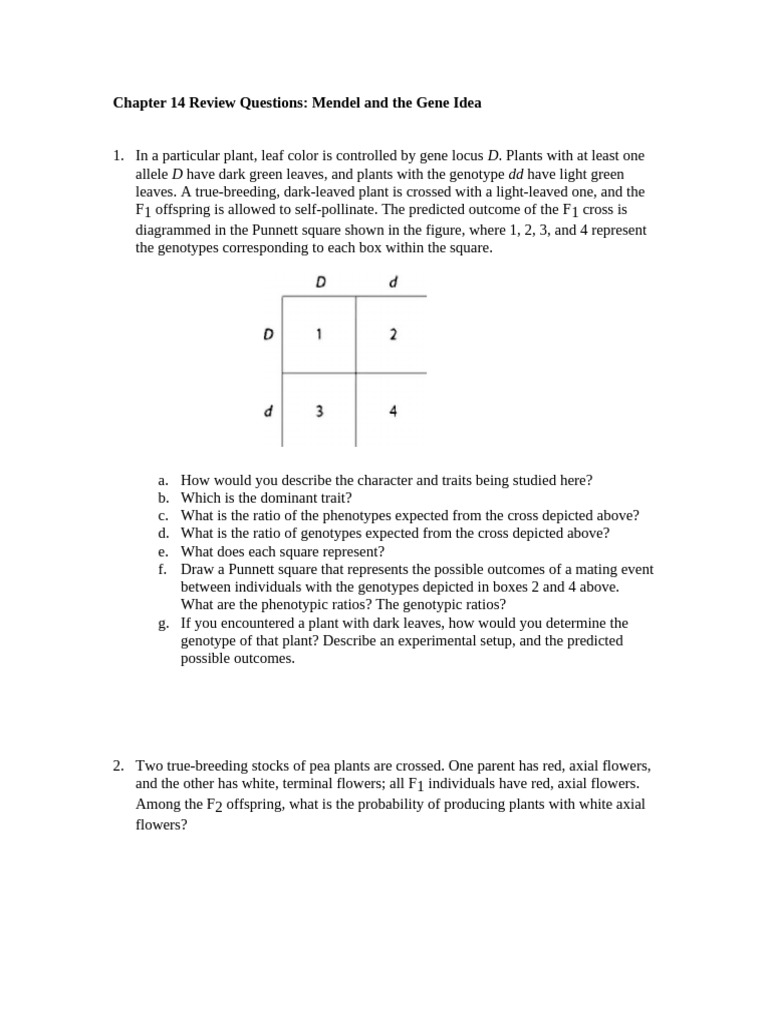 Mendelian Genetics Review Questions | PDF