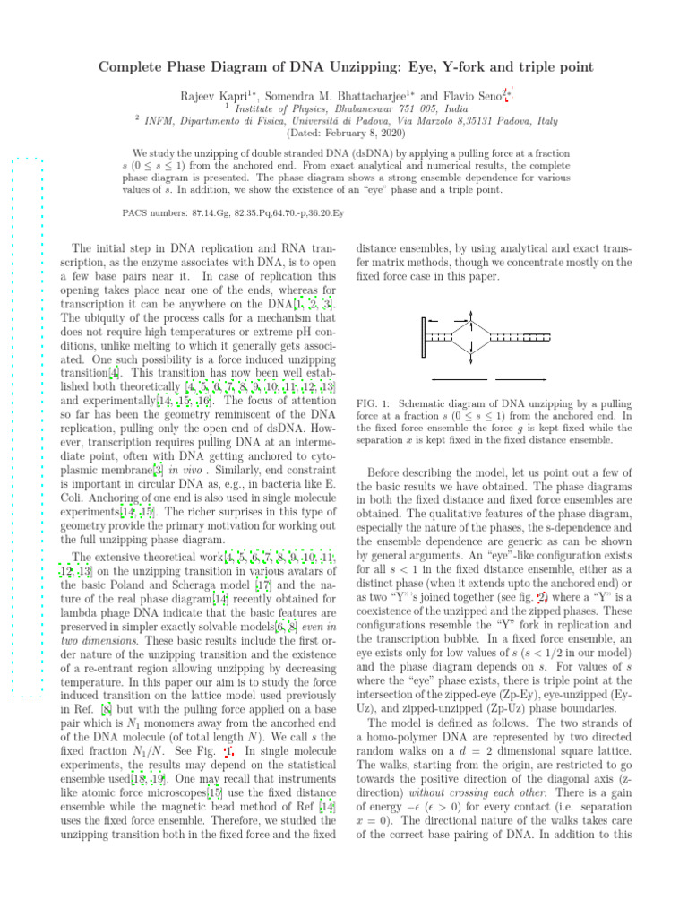 Complete Phase Diagram of DNA Unzipping Eye, Y-Fork and Triple Point ...