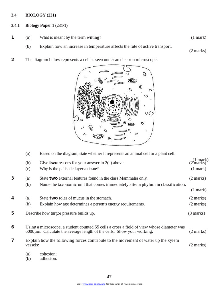 2013 Kcse Biology Questions | PDF | Leaf | Flowers