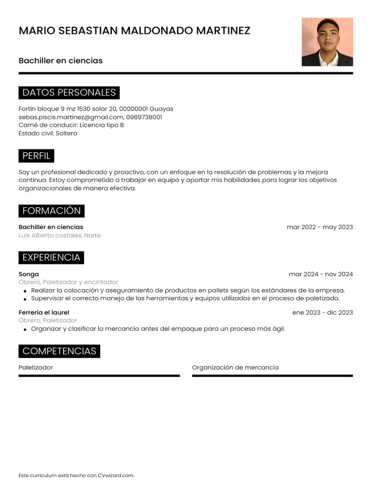 CV Mario Sebastian Maldonado Martinez 22-04-2025 13-47-56 | PDF