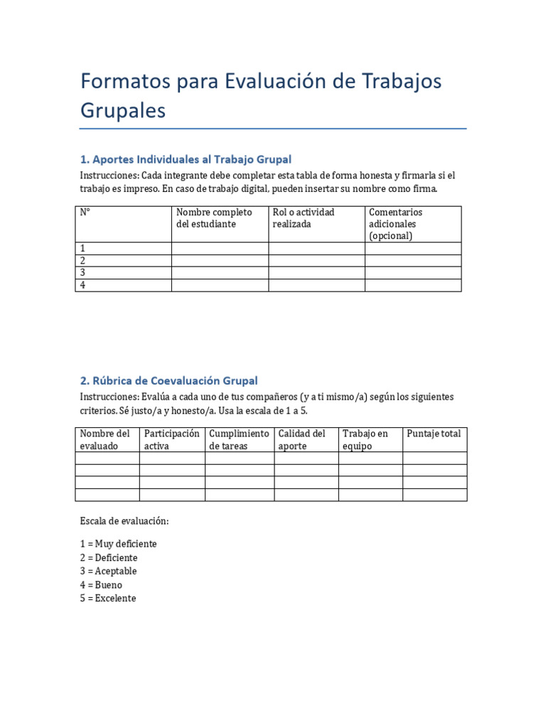 Formatos Evaluacion Grupal | PDF