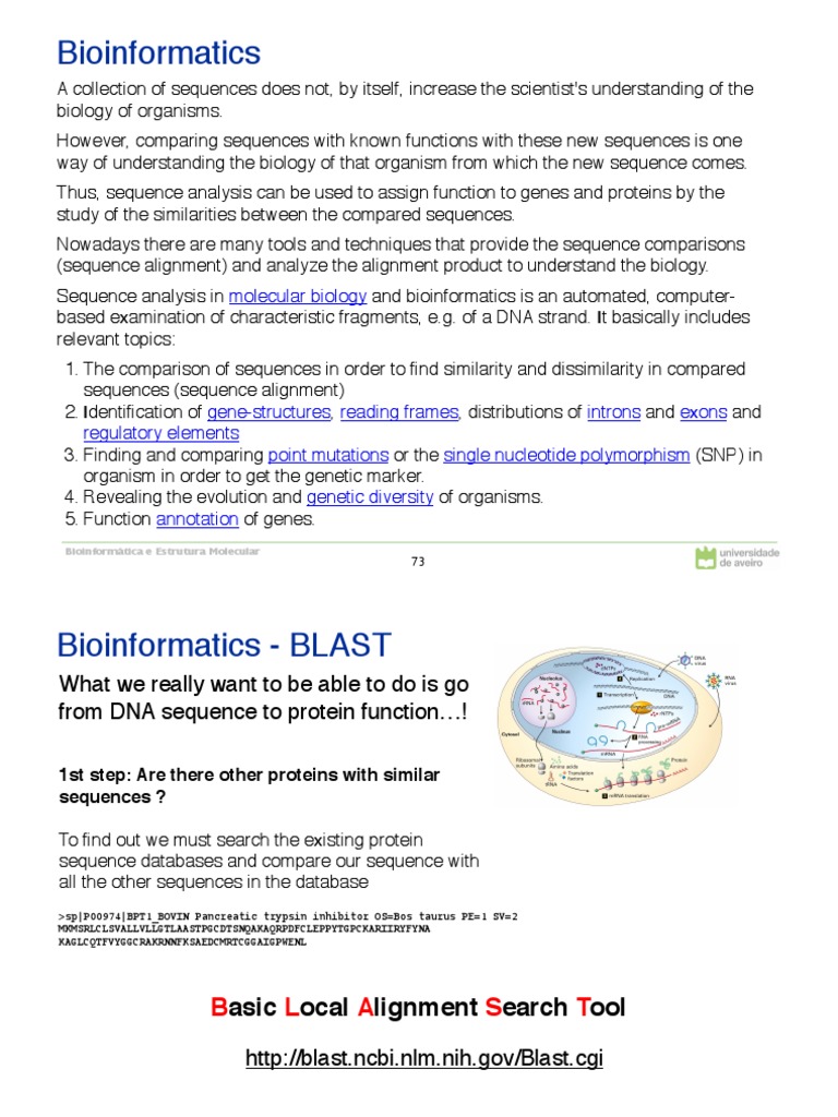 Blast Clustal | PDF | Sequence Alignment | Blast