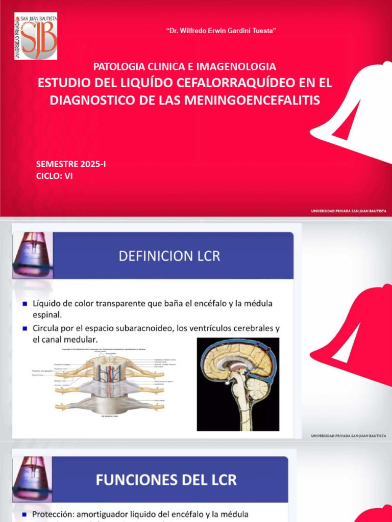 TEORIA LCR (1) | PDF | Meningitis | Ciencias de la Salud
