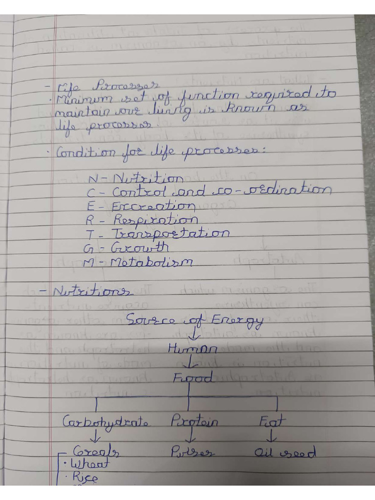 Chapter 1-Life Processes | PDF