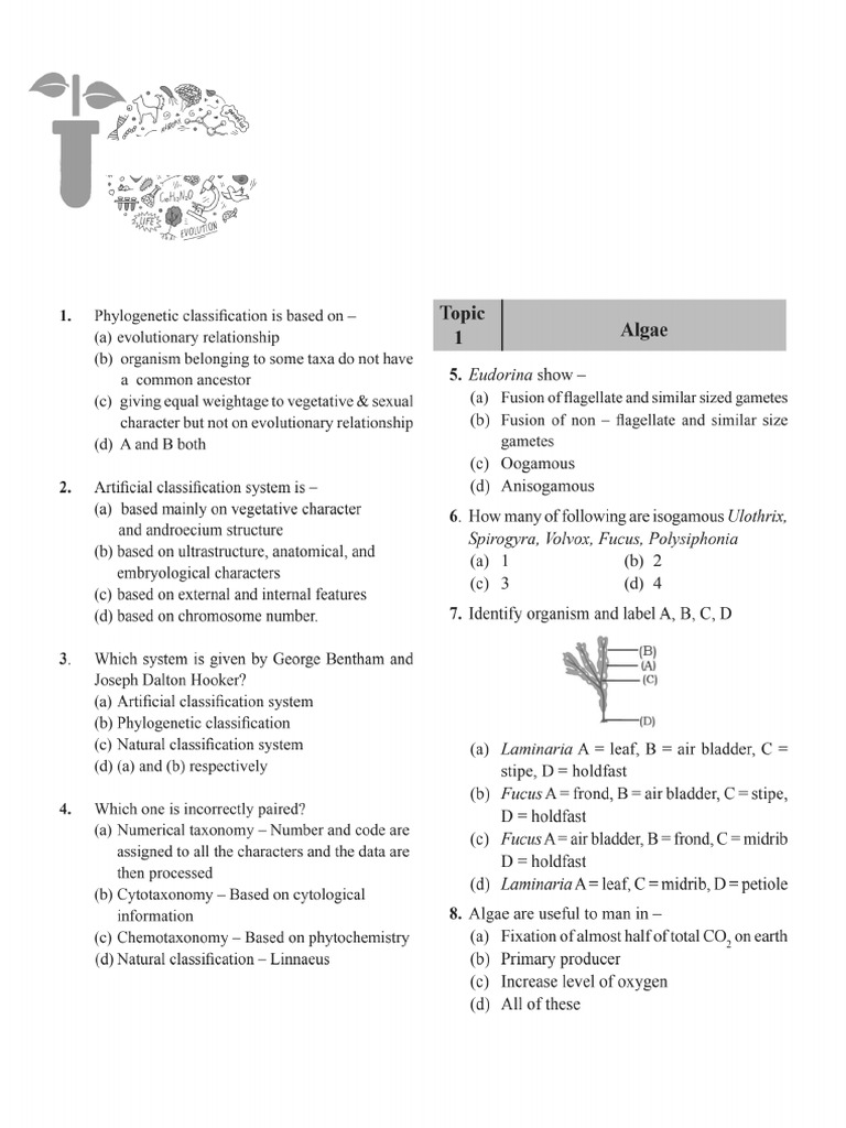 CH3. Plant Kingdom | PDF