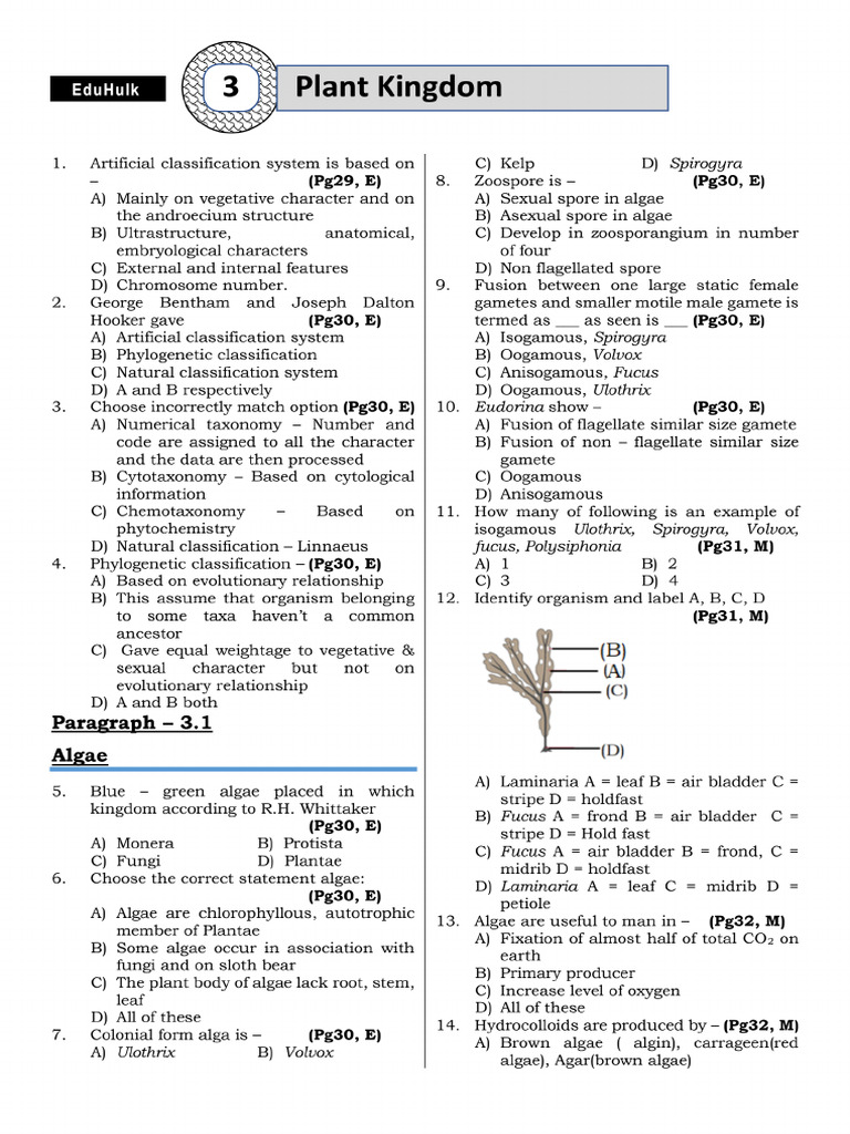CH3. Plant Kingdom | PDF