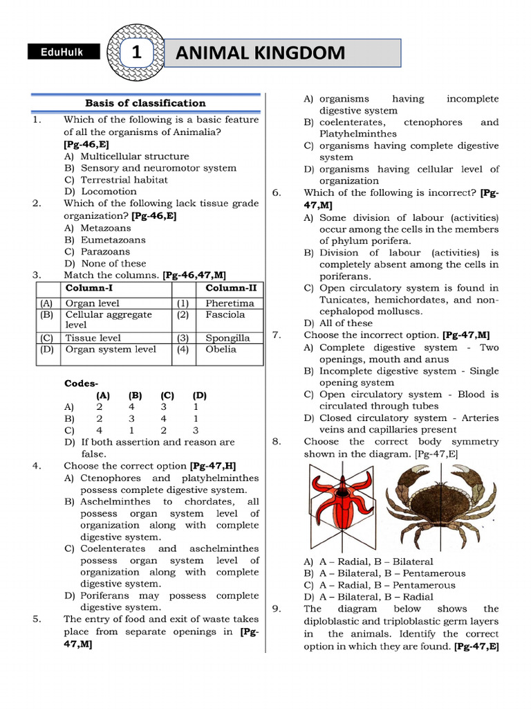 CH4. Animal Kingdom | PDF