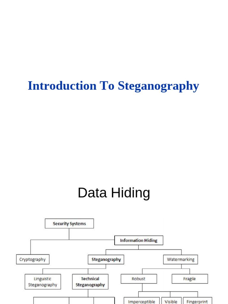 05 Ch5 Steganography | PDF | Computing | Information Age