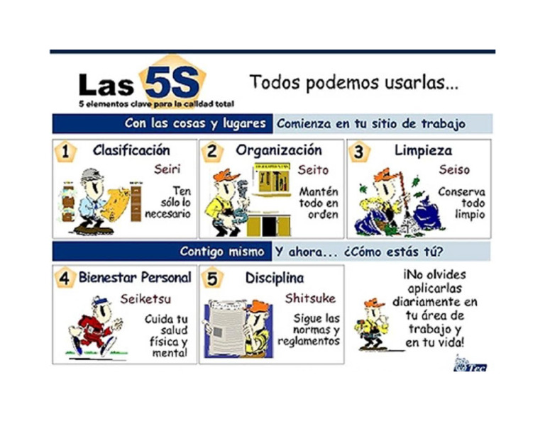 5s Cartoon Español | PDF