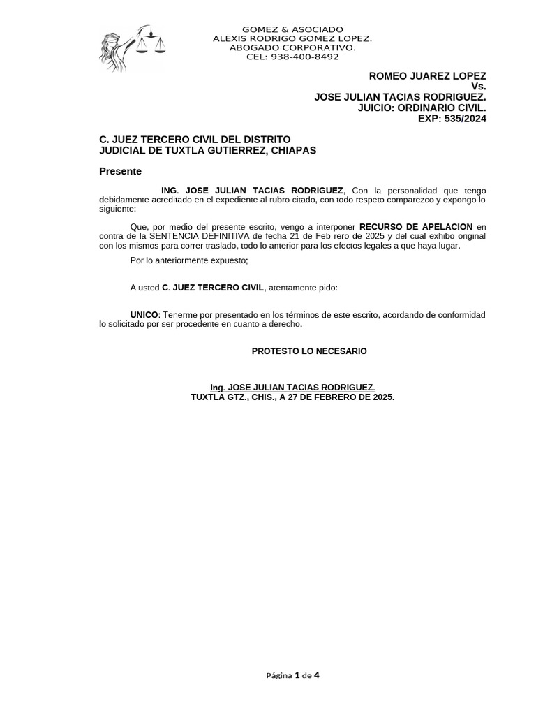 Recurso de Apelacion Sentencia Difinitiva | PDF | Apelación | Ley común